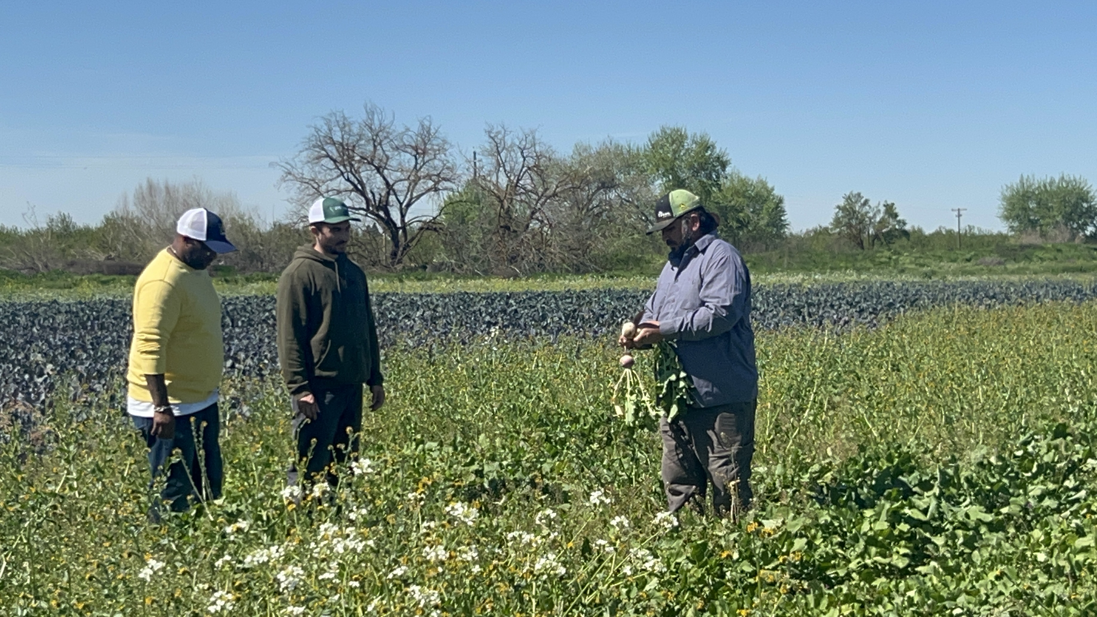 Nourishing Community: Chef Ed Porter’s Culinary Journey at UC Merced ...